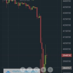 Plunge of Bitcoin - TCG TECH Business IT